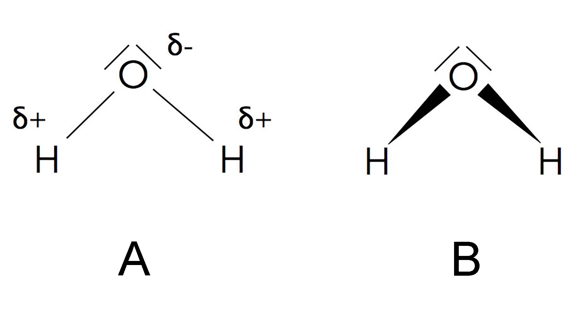 Struktur Und Eigenschaften Des Wasser Molek ls Struktur Und Eigenschaften Des Wasser Molek ls